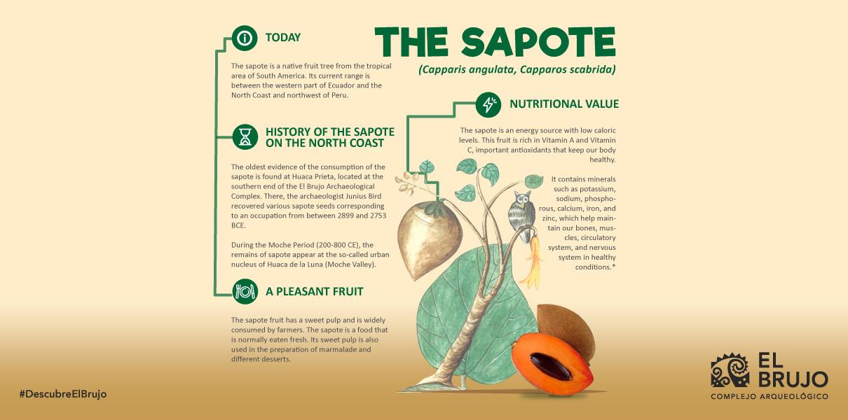 Alimentos andinos: El sapote