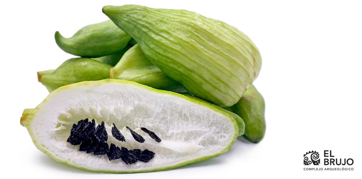 Serie Alimentos Andinos: La Caigua - El Brujo