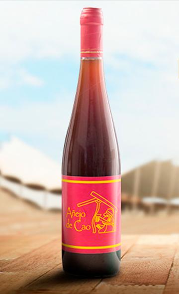 La importancia de los huacos retrato en la cultura Mochica