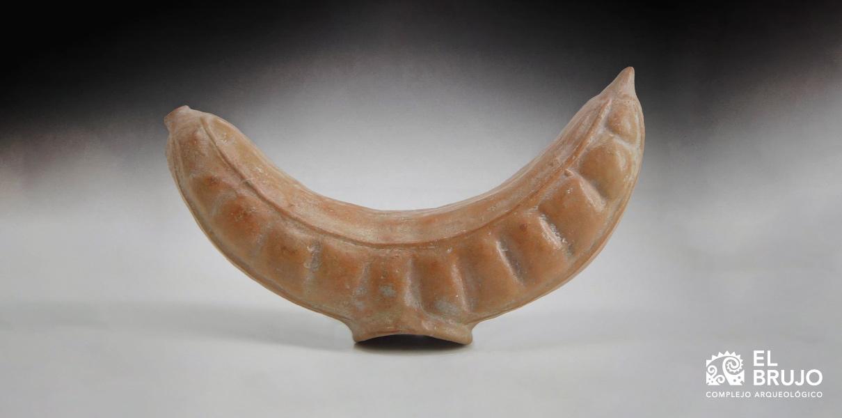 El Pacae o Pacay: Serie Alimentos Andinos | El Brujo