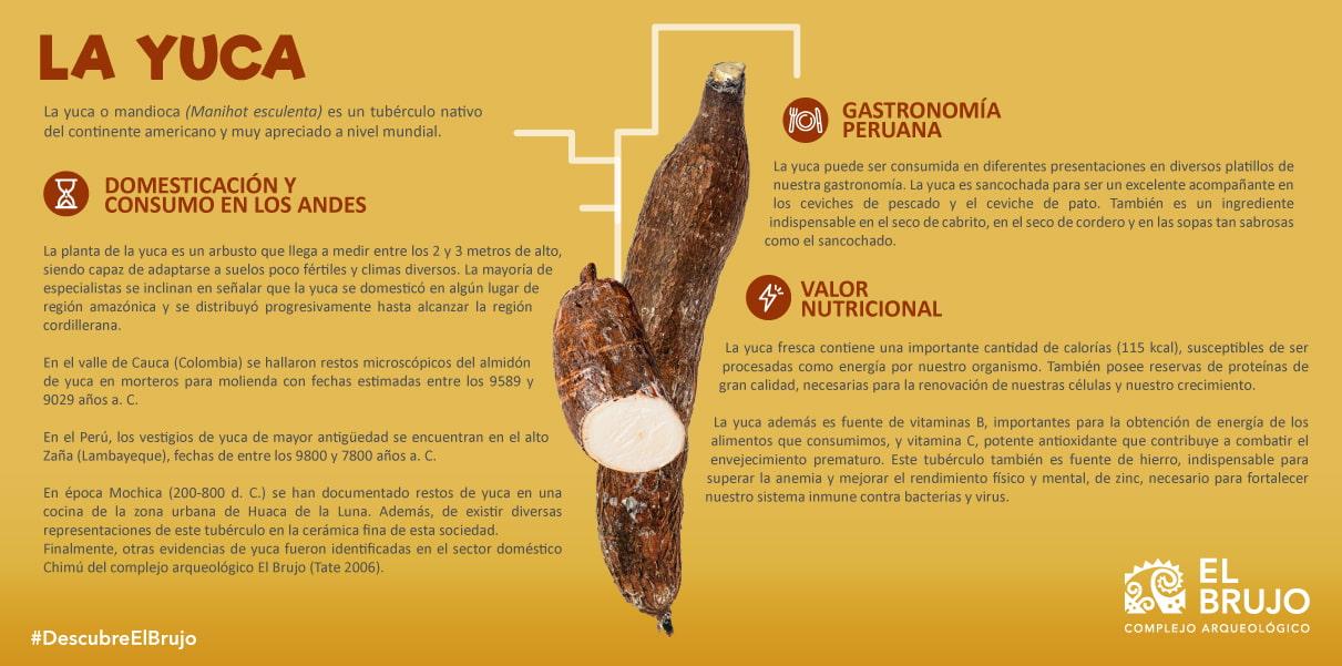 Serie Alimentos Andinos: La Yuca